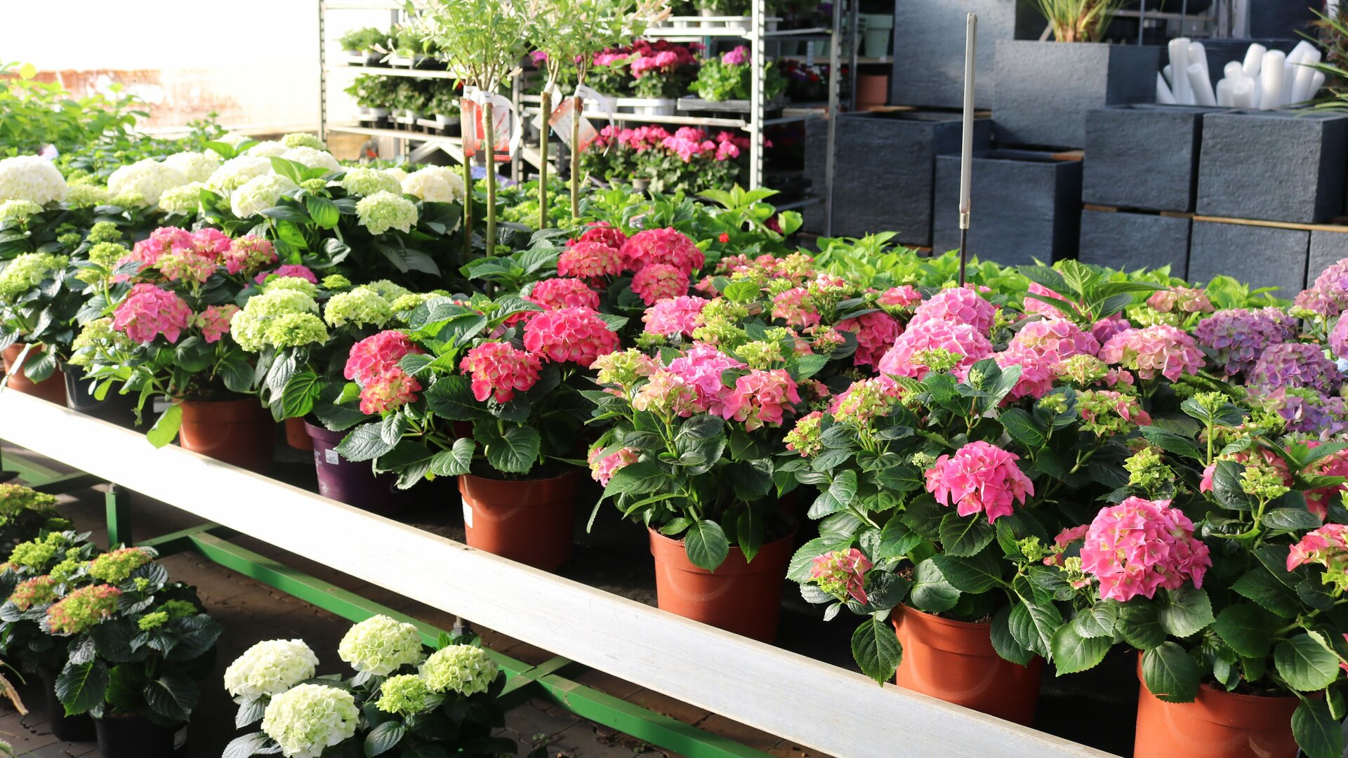 Tuincentrum Bull in Beuningen dichtbij Nijmegen