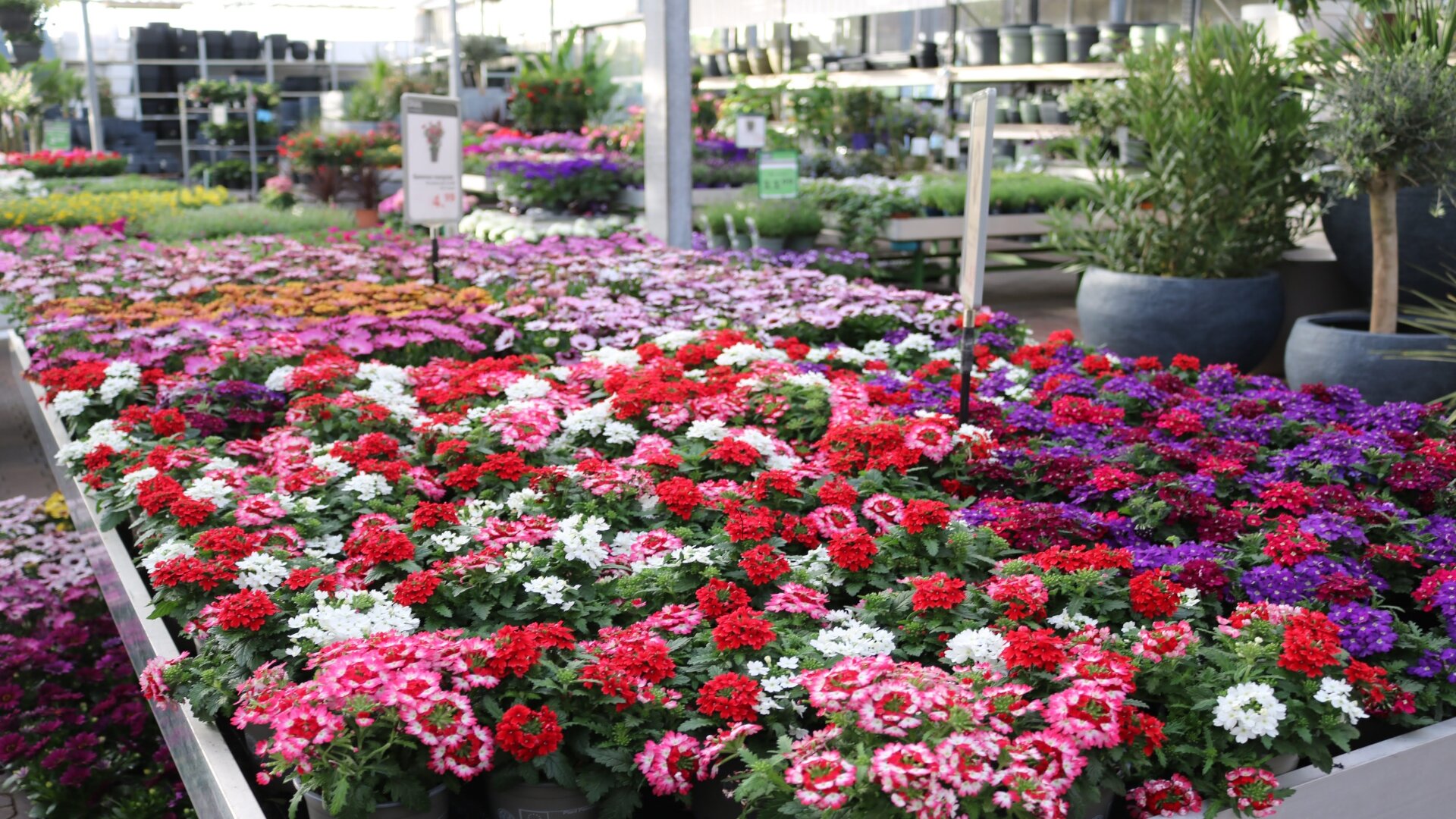 Tuincentrum Bull in Beuningen dichtbij Nijmegen