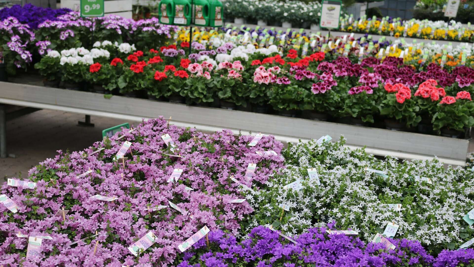 Tuintips - Tuincentrum Bull