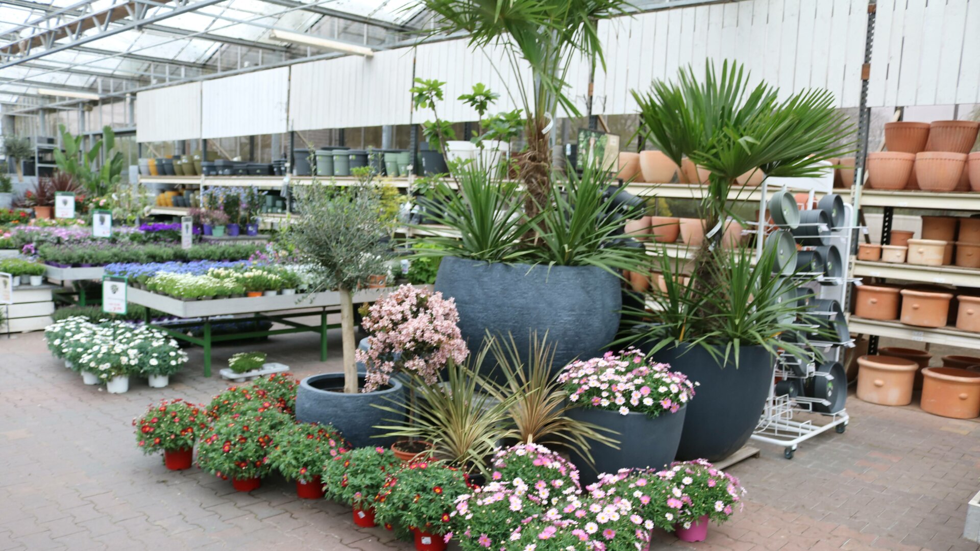 De leukste sierkussens - Tuincentrum Bull