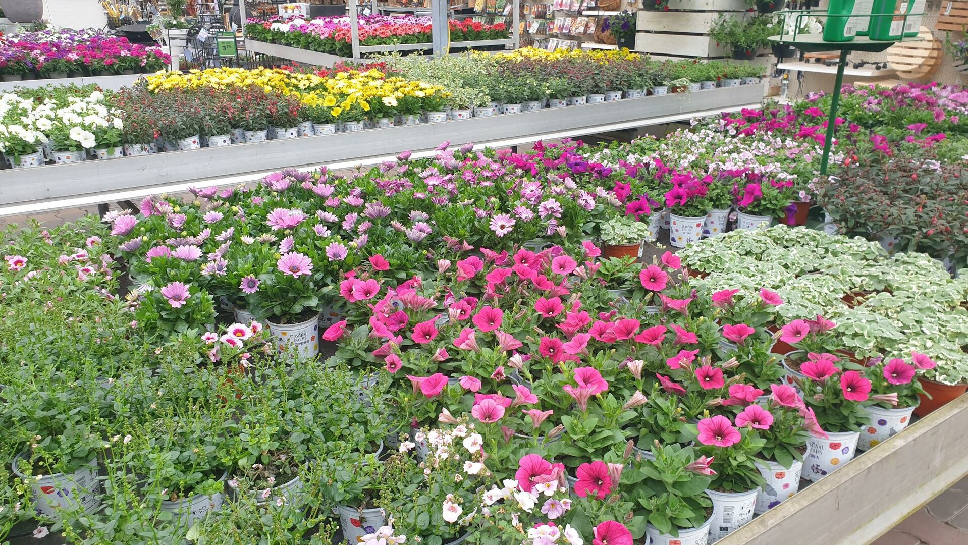 Tuincentrum Bull - Beuningen