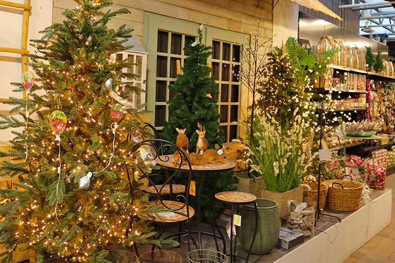 Tuincentrum Bull - Beuningen