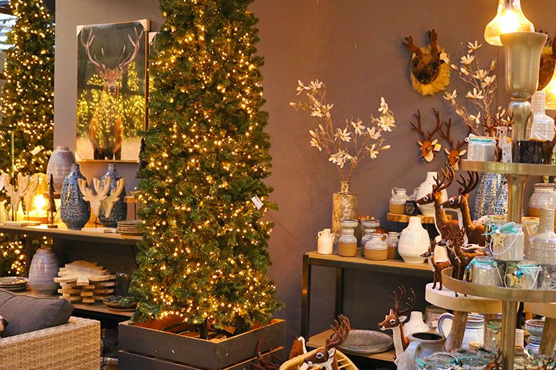 Tuincentrum Bull - Beuningen