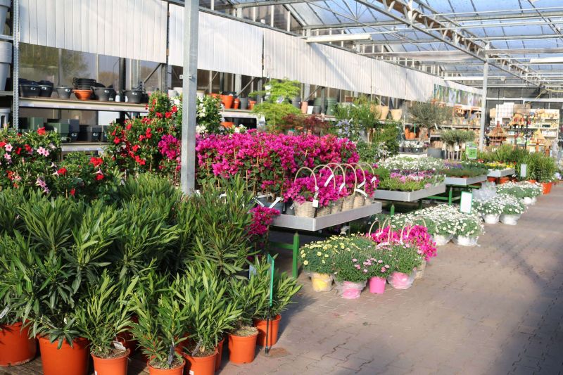 Tuincentrum Bull - Beuningen