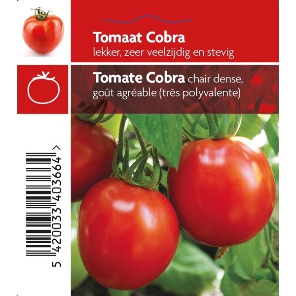 Tomaat Cobra - Tuincentrum Bull