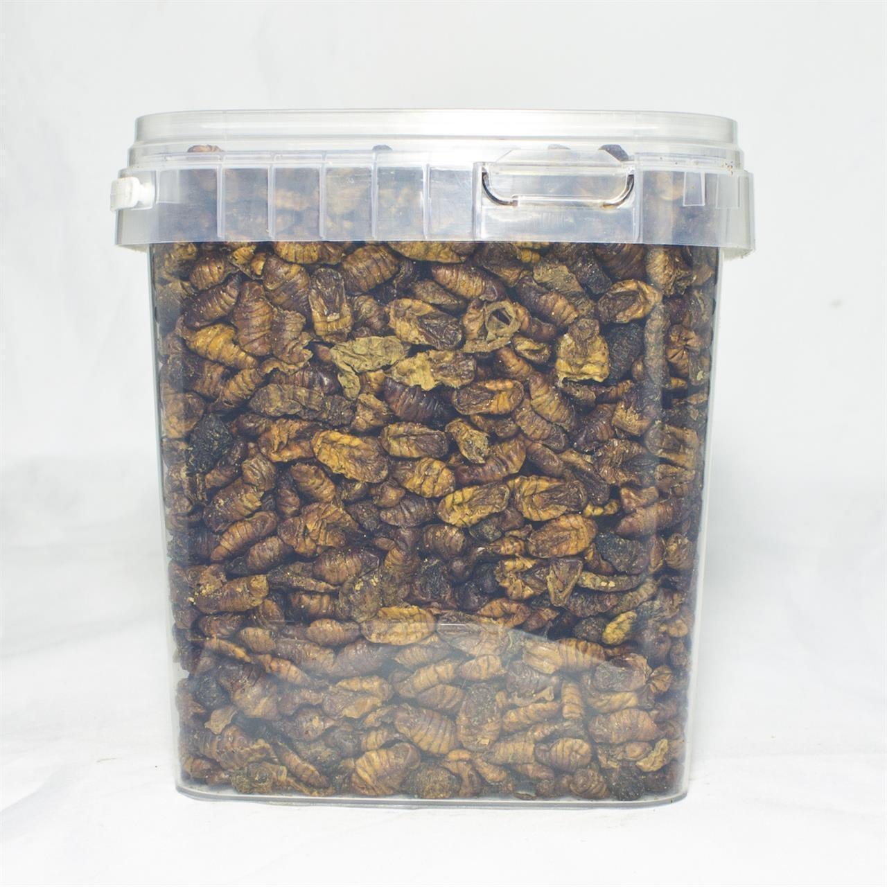 zijderupsen 2,5 liter - Tuincentrum Bull